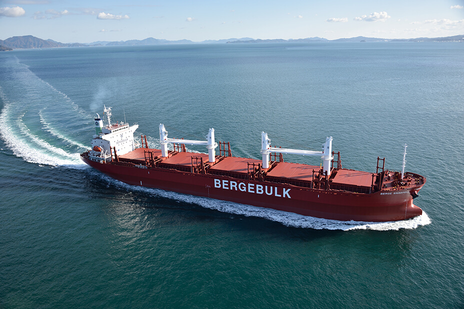 Voyage Optimization with Wayfinder